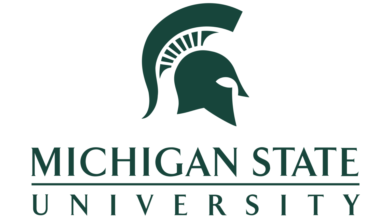 Ian Striz | Michigan Car Accident Lawyer | Mike Morse Injury Law Firm